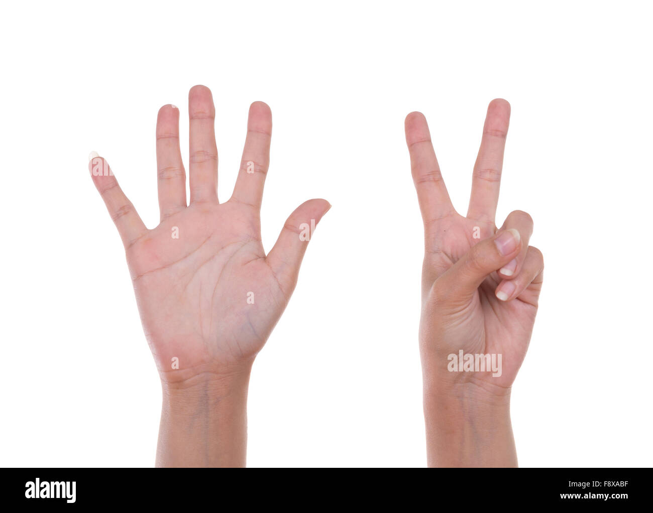 hands show the number seven isolated on white background Stock Photo ...