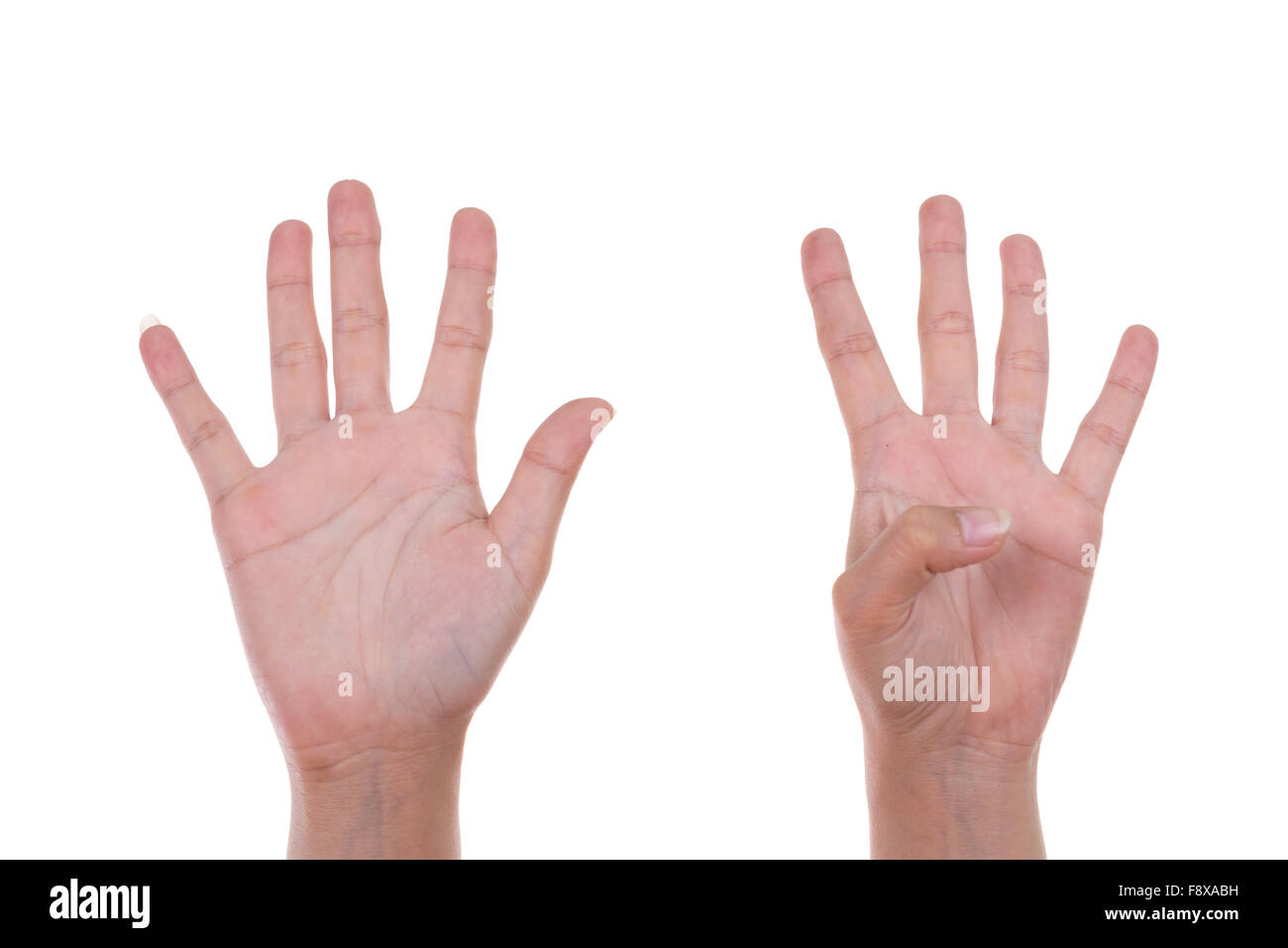 hands show the number nine isolated on white background Stock Photo - Alamy