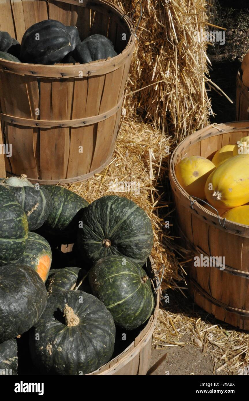 Wooden bushels of squash Stock Photo - Alamy