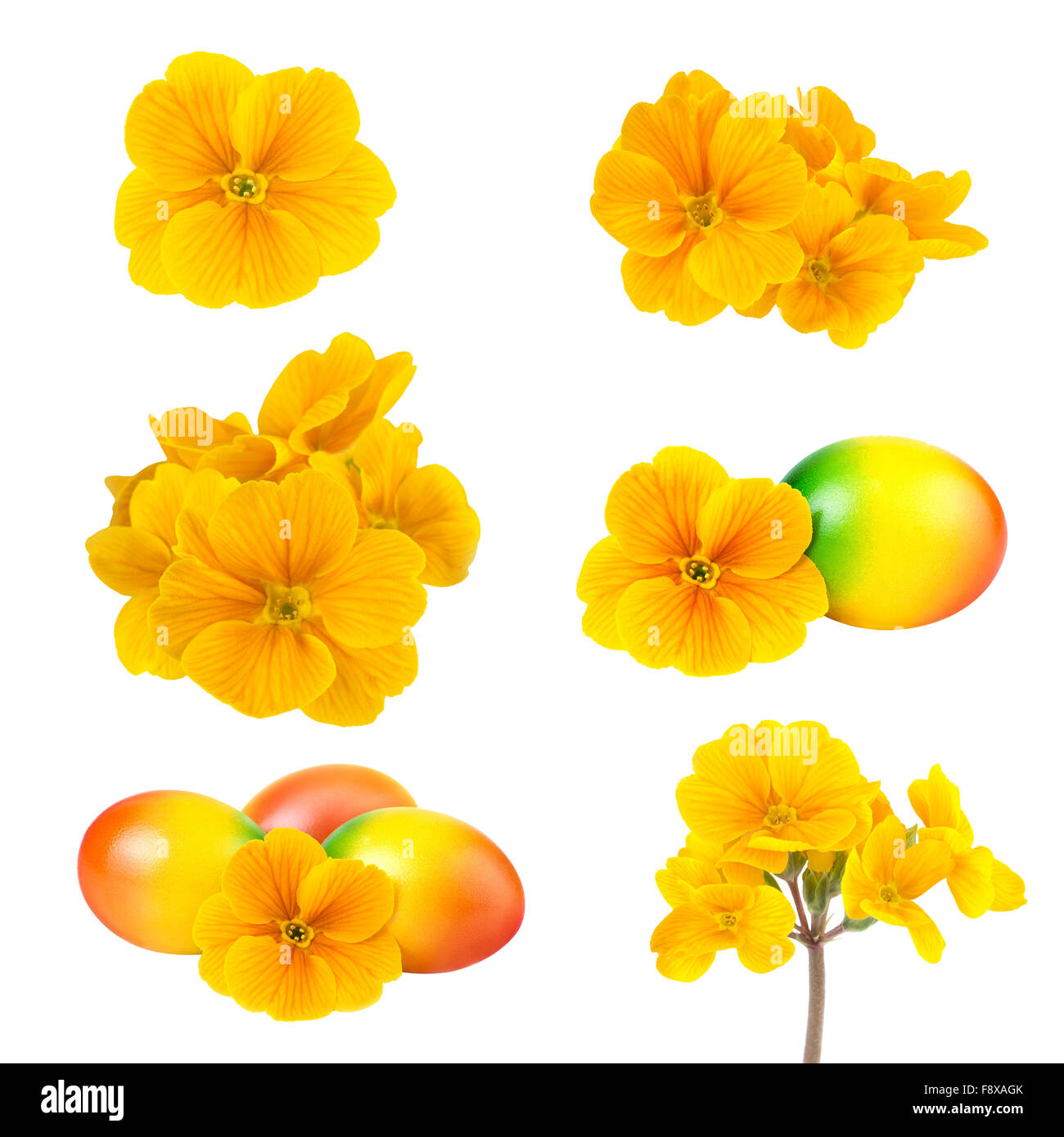 Easter Yellow Spring Flowers Easter Eggs Collection Stock Photo - Alamy