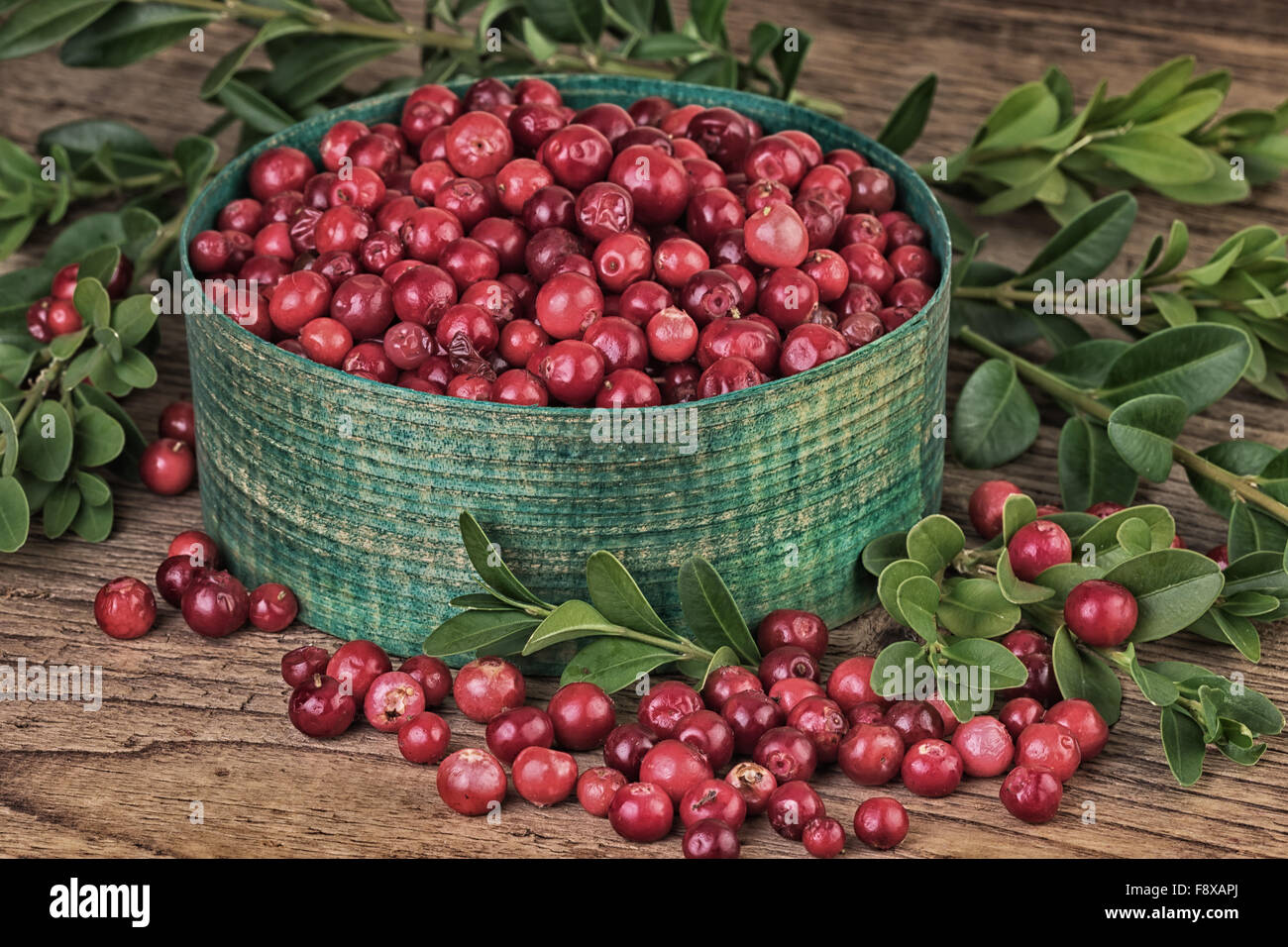 Cranberries Vintage Still Life Stock Photo - Alamy