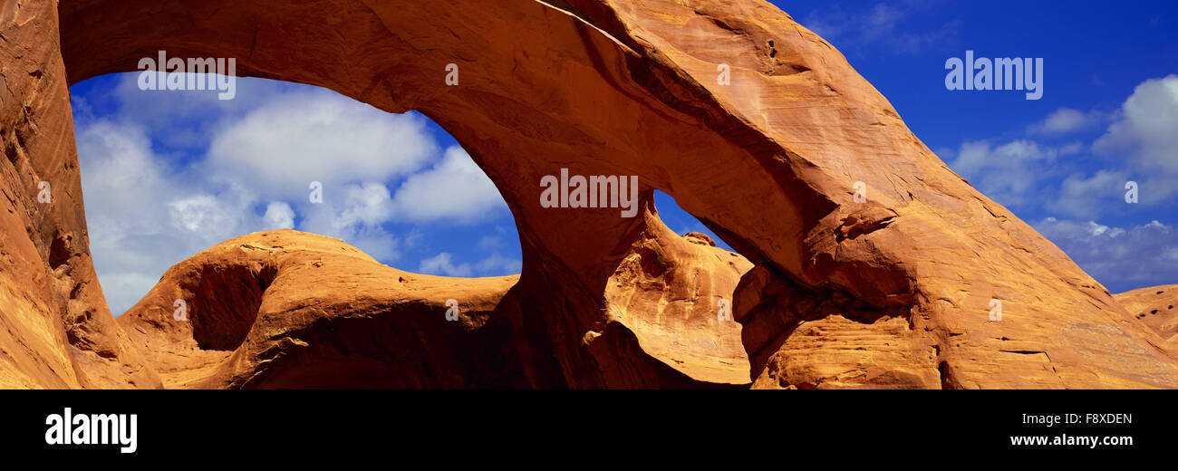 Spiderweb arch hi-res stock photography and images - Alamy