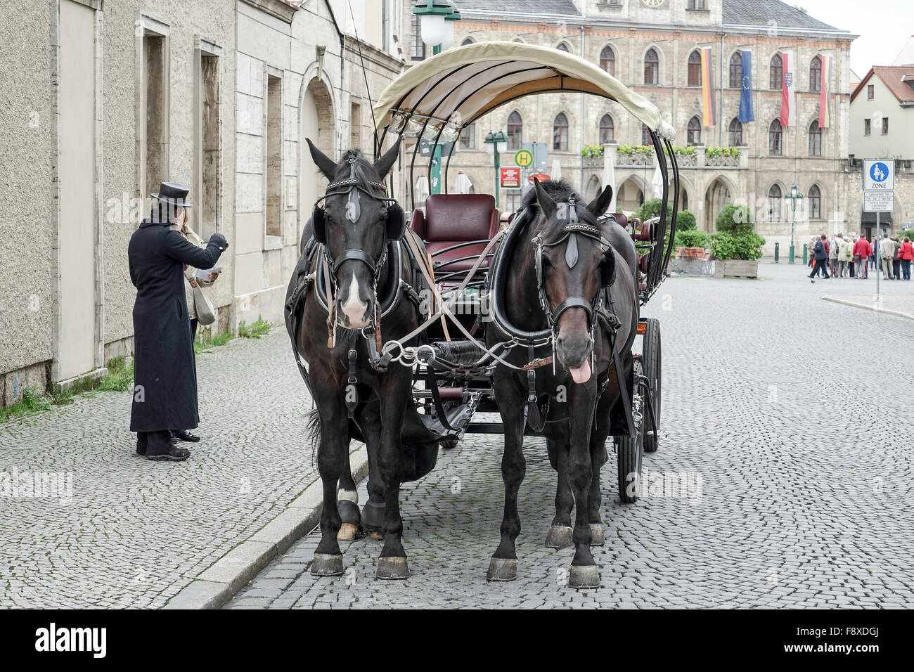 Horses and carriage in Weimar Stock Photo - Alamy