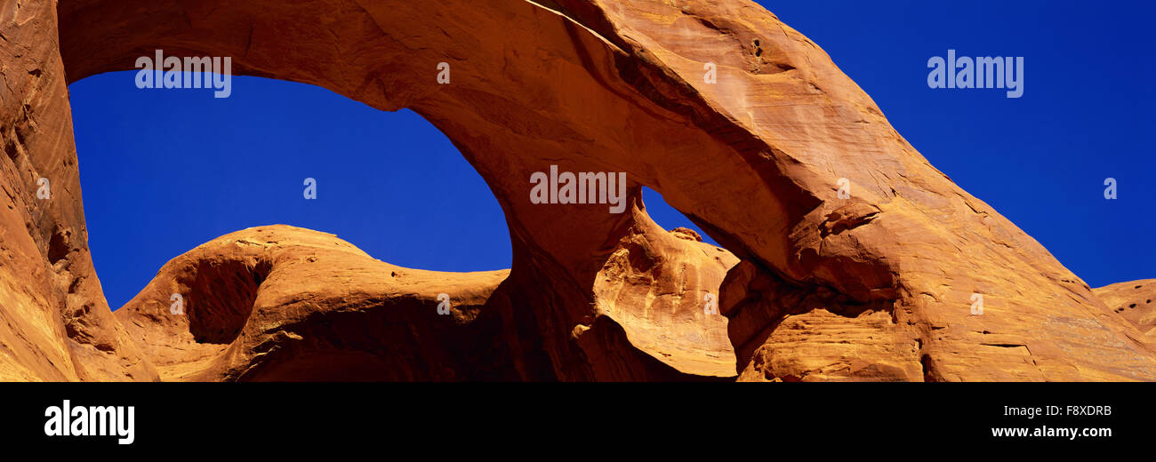 Spiderweb arch hi-res stock photography and images - Alamy
