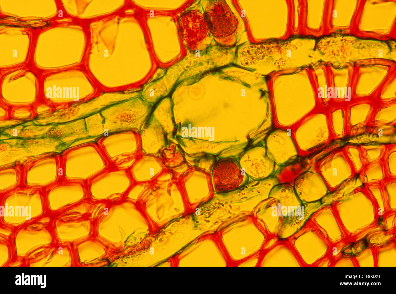 Cell blocks hi-res stock photography and images - Alamy
