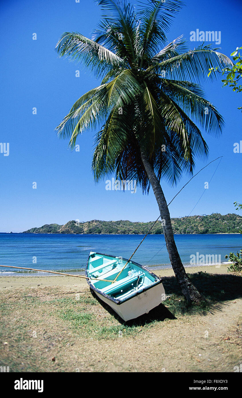 Boat and Palm Tree. Tobago, Caribbean Stock Photo - Alamy