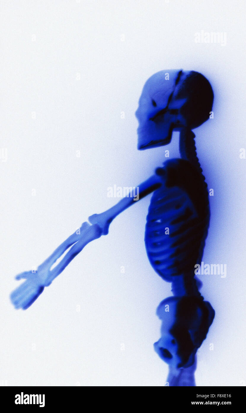 Colorful human anatomy hi-res stock photography and images - Alamy