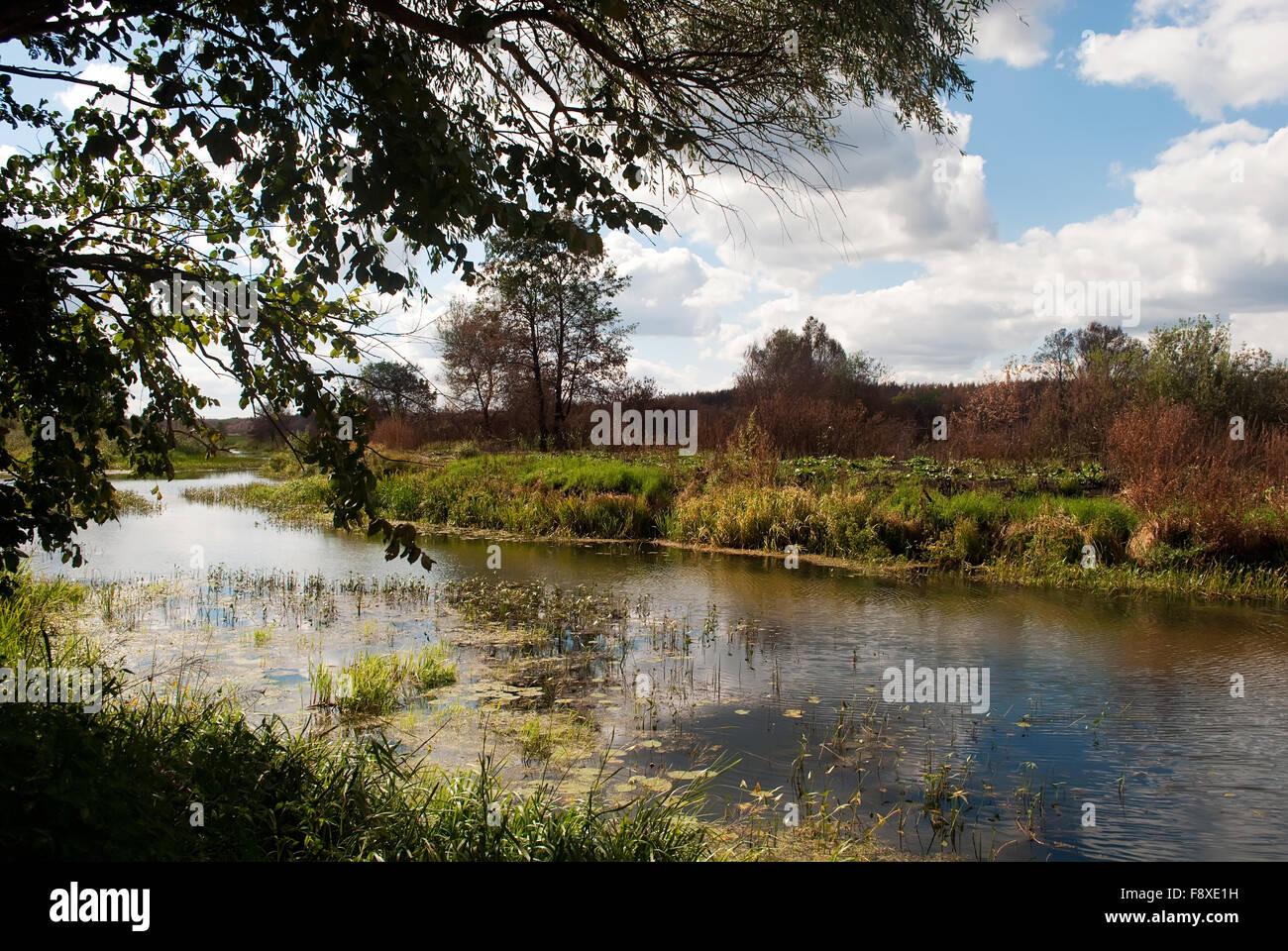 A small river Stock Photo - Alamy