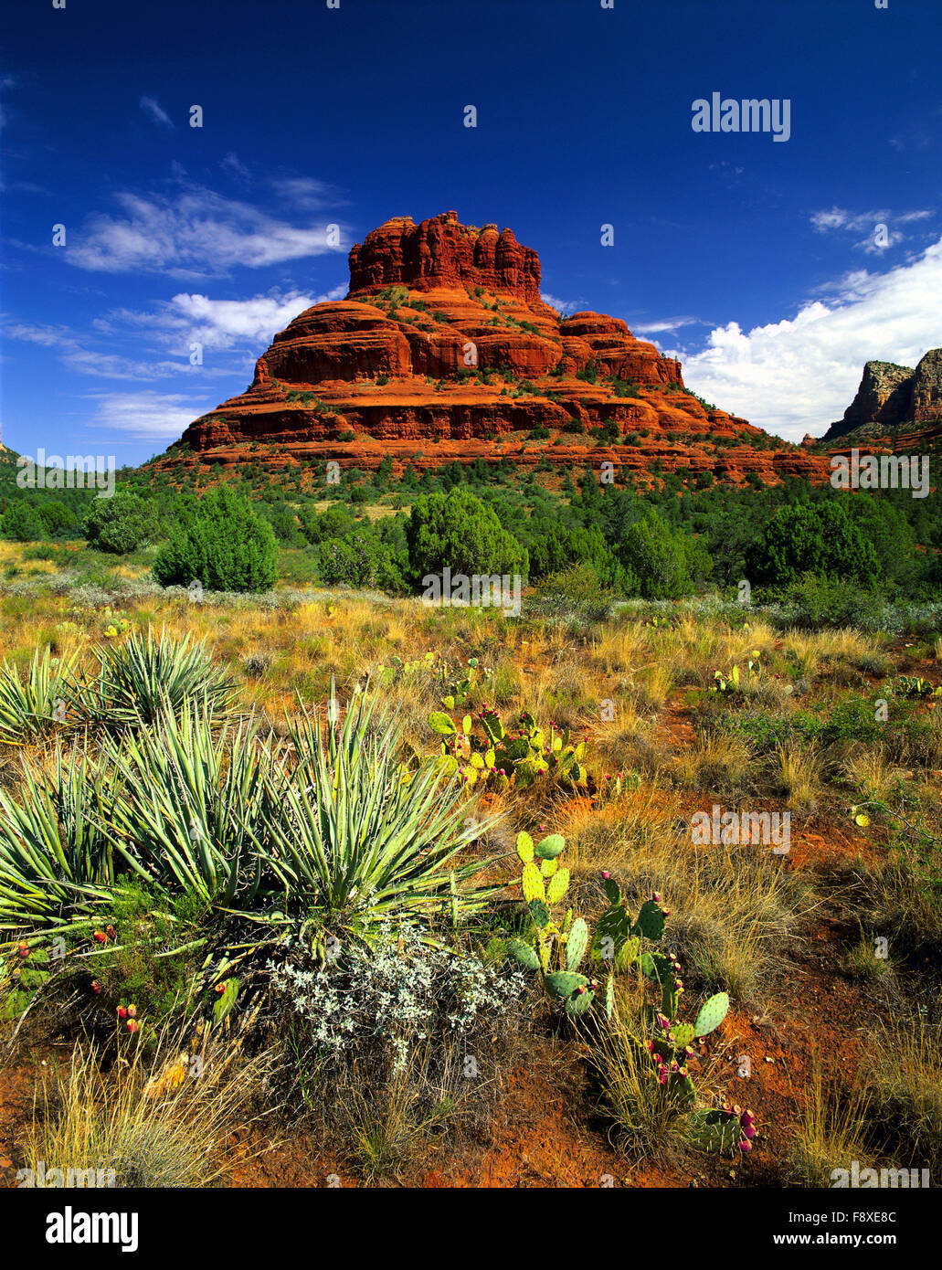 Rock spaces hi-res stock photography and images - Alamy