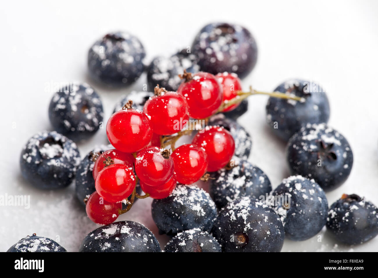 blueberries and red currant with icing sugar on white background Stock ...