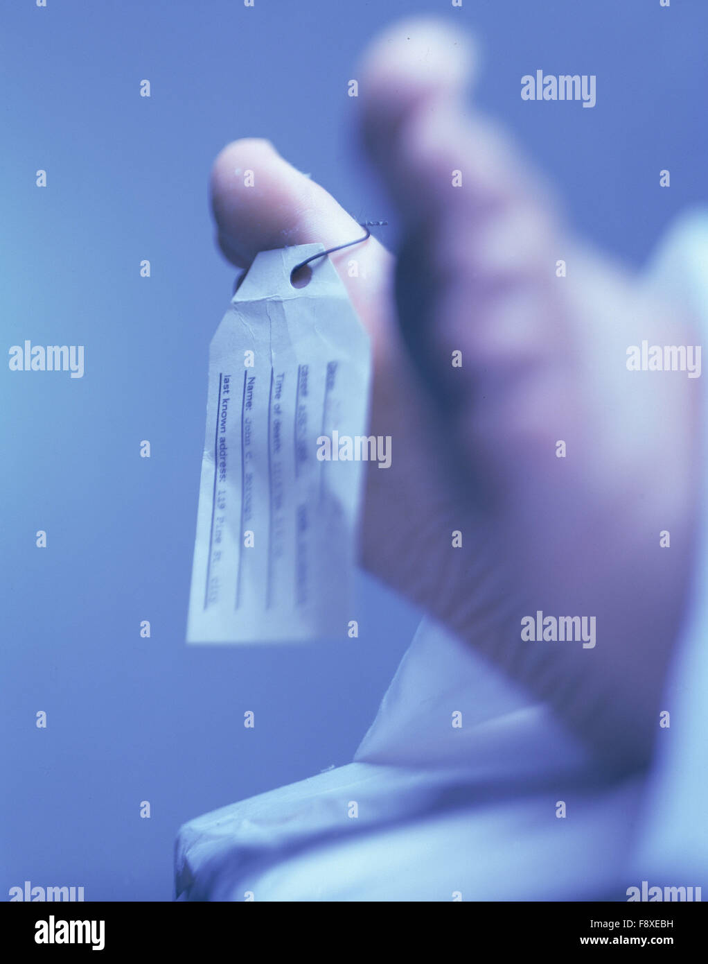 Toe tag hi-res stock photography and images - Alamy