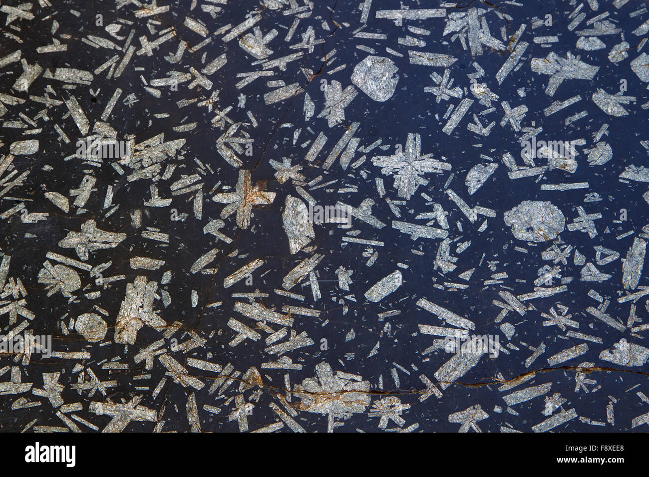 Black fossil marble hi-res stock photography and images - Alamy