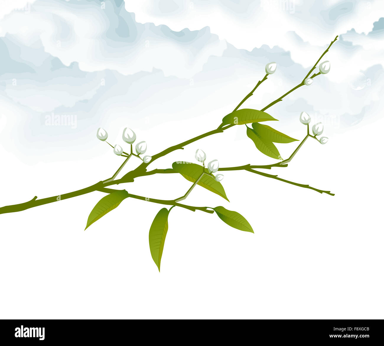 Clouds Effects 08 Stock Photo - Alamy