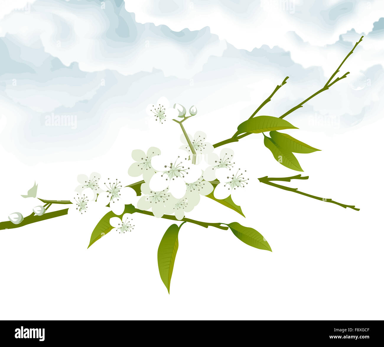 Clouds Effects 13 Stock Photo - Alamy