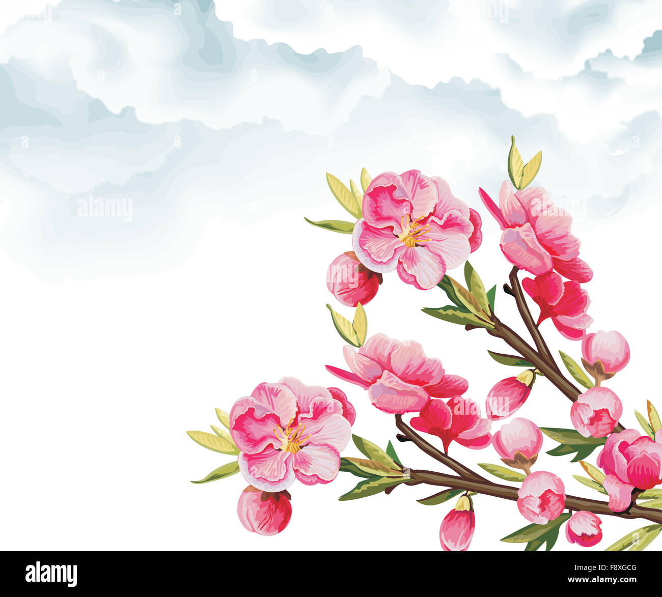 Clouds Effects 14 Stock Photo - Alamy