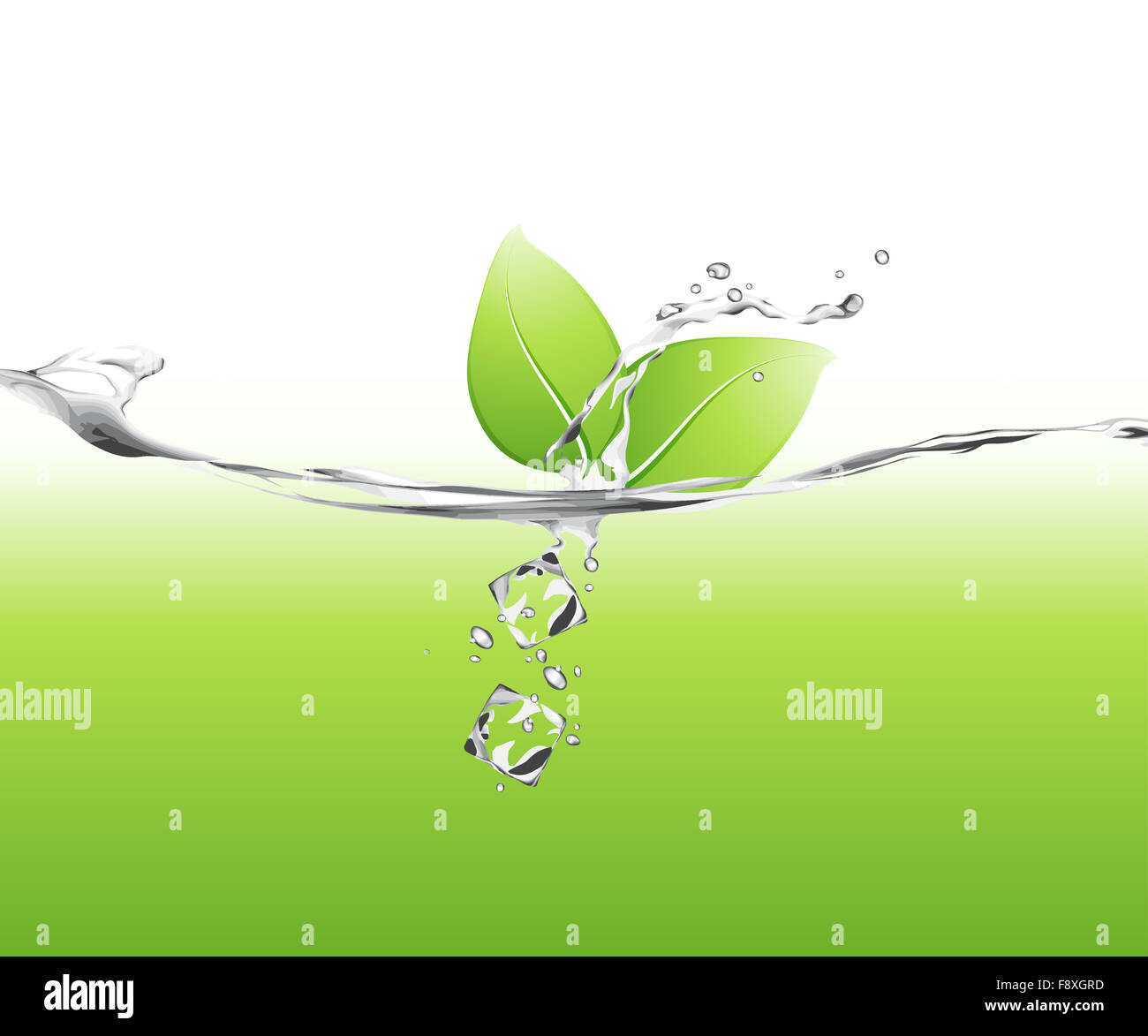 Leaf floating water vector hi-res stock photography and images - Alamy