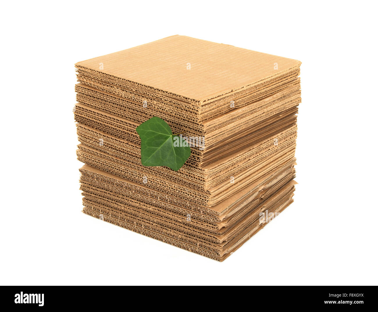 Green leaf and pile of cardboard Stock Photo - Alamy
