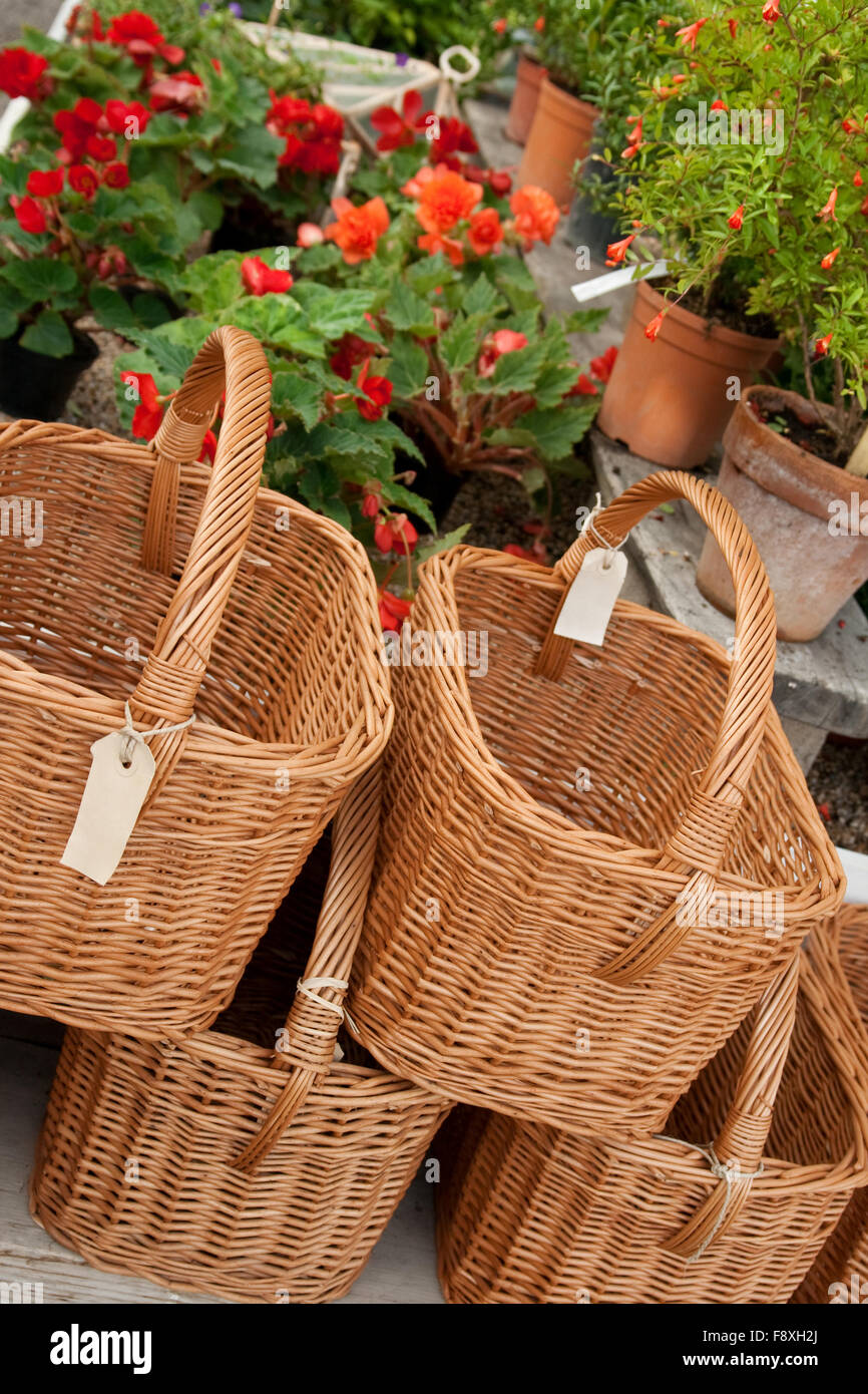 Baskets with blank labels in a flower shop Stock Photo - Alamy