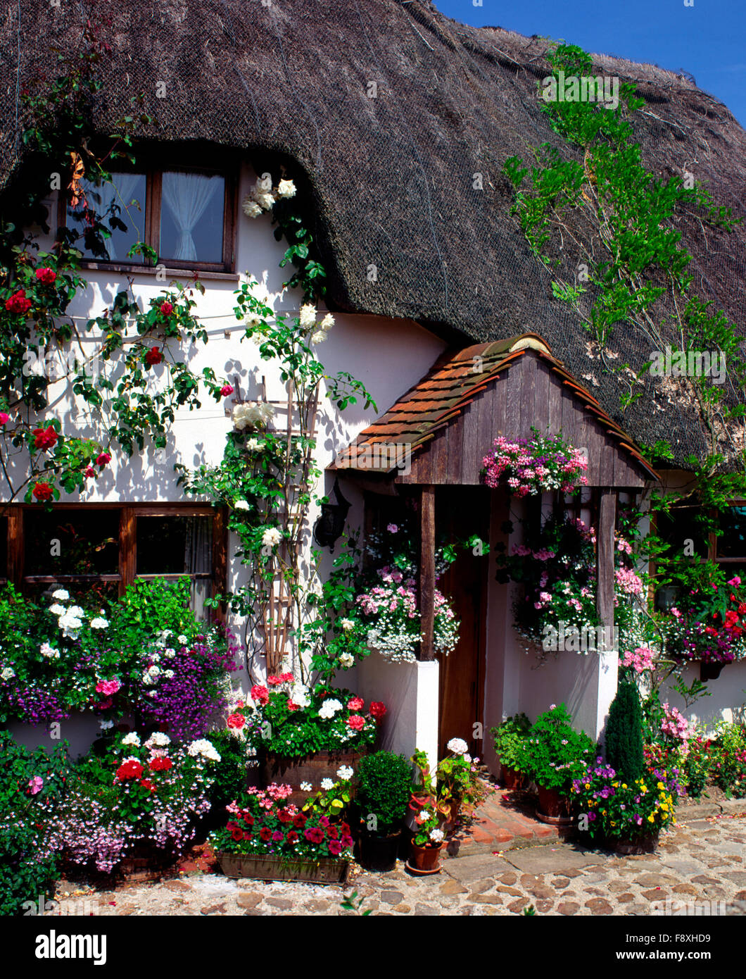 Thatched cottage kent england uk hi-res stock photography and images ...
