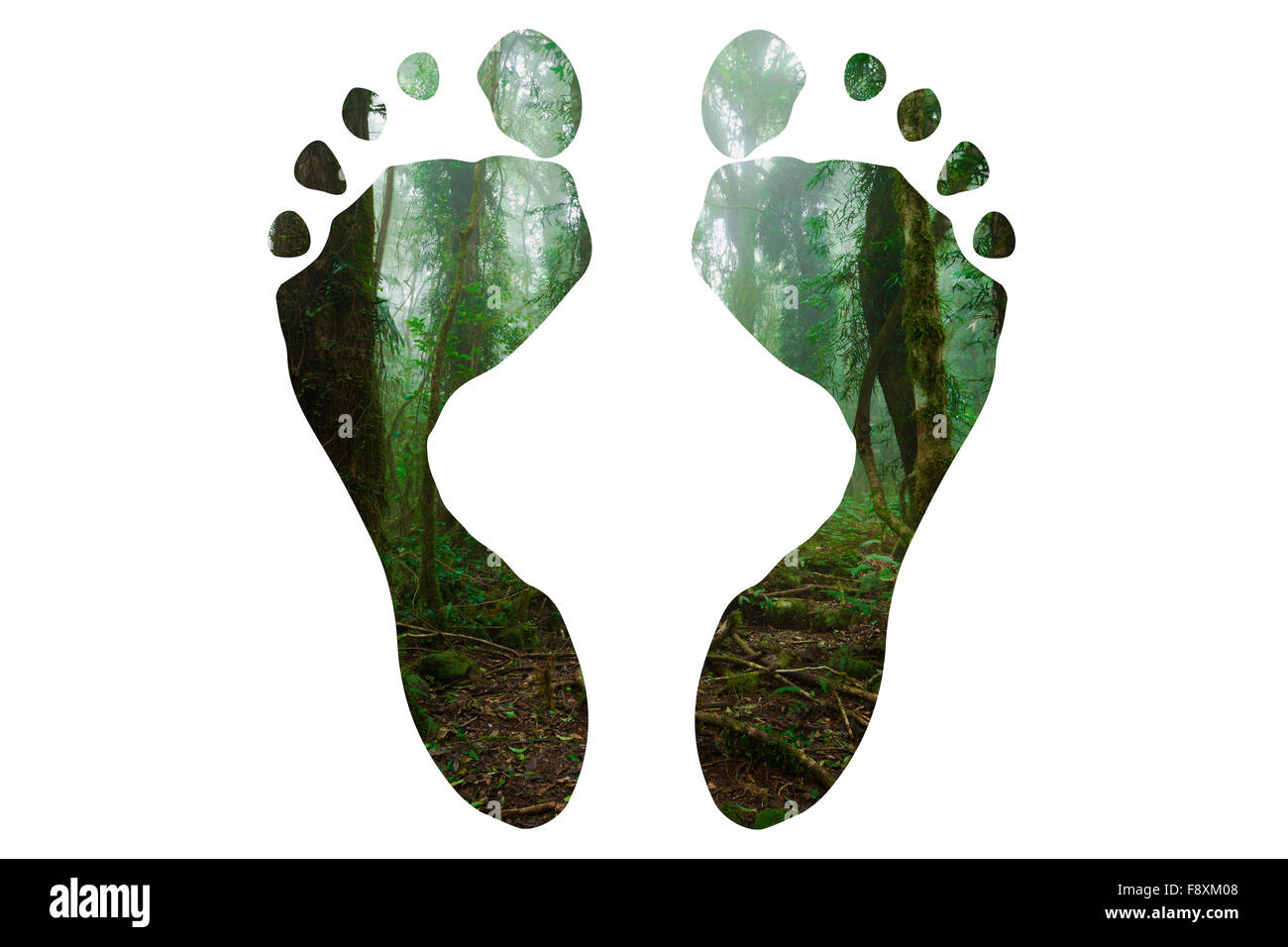 Vegetation clouds Cut Out Stock Images & Pictures - Alamy