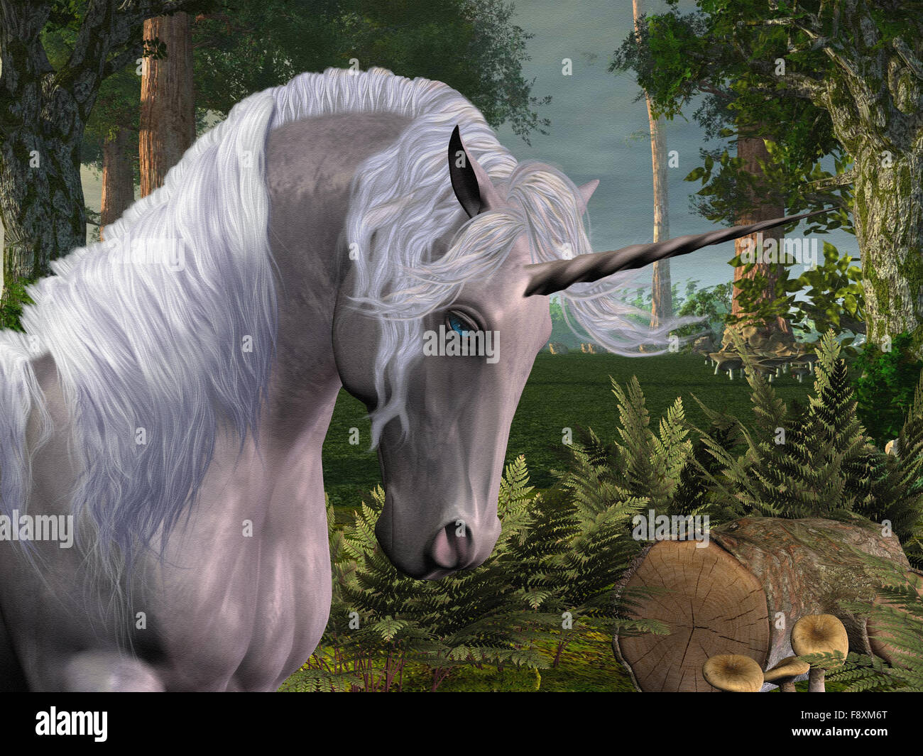 Magic animals hi-res stock photography and images - Alamy