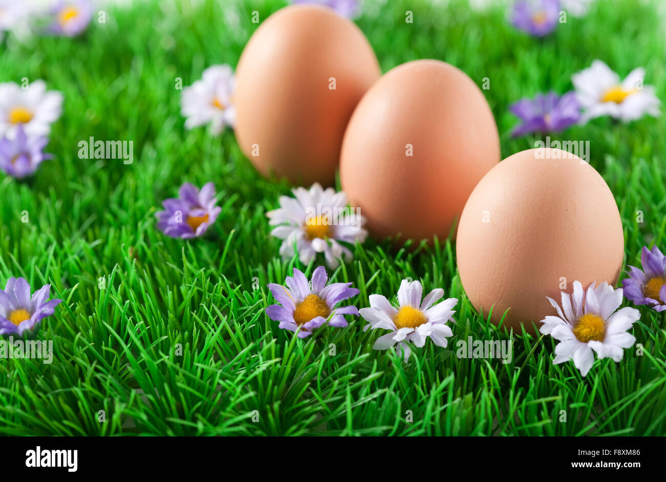 Three easter eggs Stock Photo - Alamy