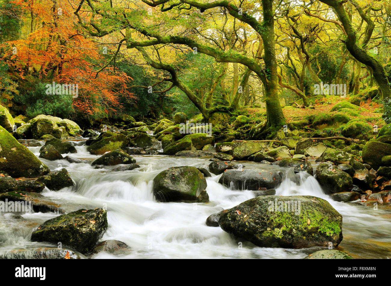Mystical river Stock Photo - Alamy