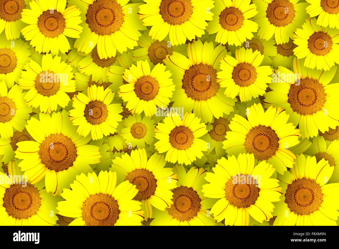 Repeated pattern with yellow flowers Stock Photo - Alamy