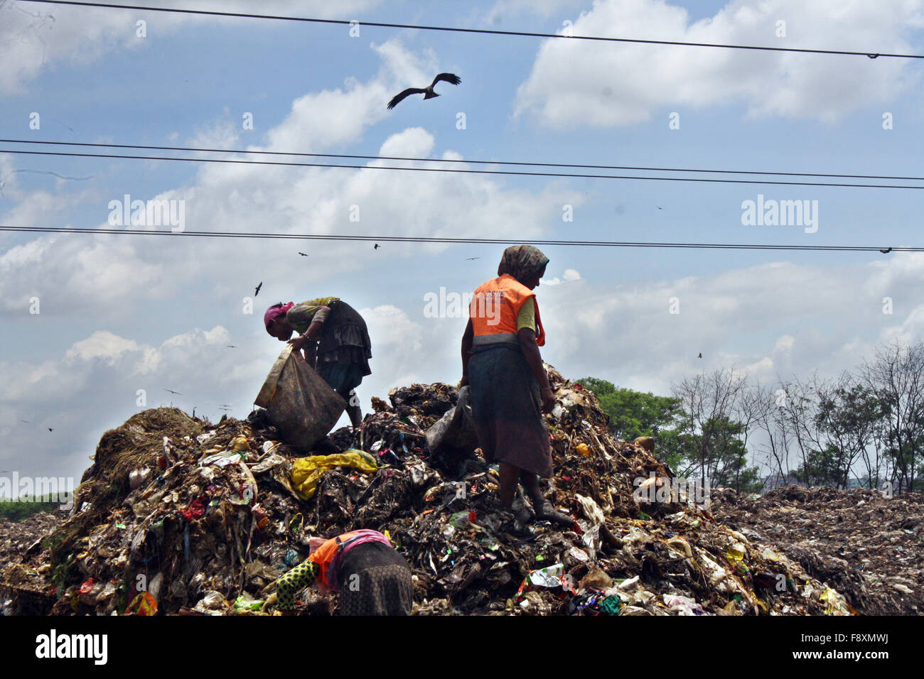 Male and Female waste pickers pick the non- biodegradable waste to be ...