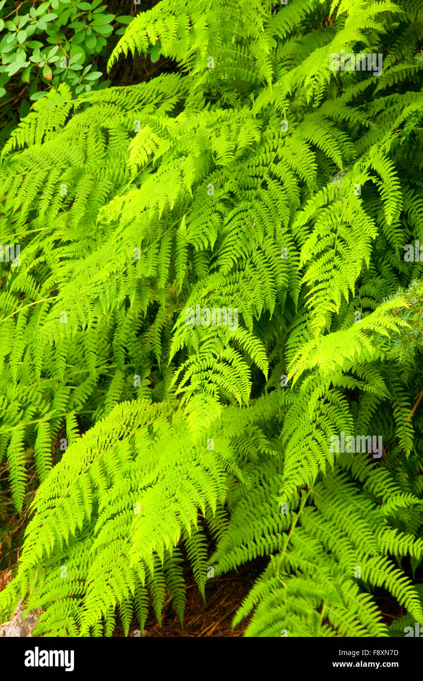 Cc divide trail hi-res stock photography and images - Alamy