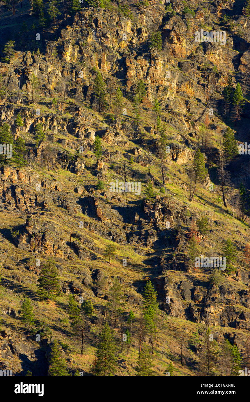 Rock Creek canyon slope, Lolo National Forest, Montana Stock Photo - Alamy