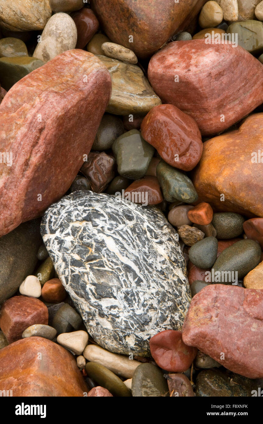 River bar rocks, Middle Fork Flathead Wild and Scenic River, Great Bear ...