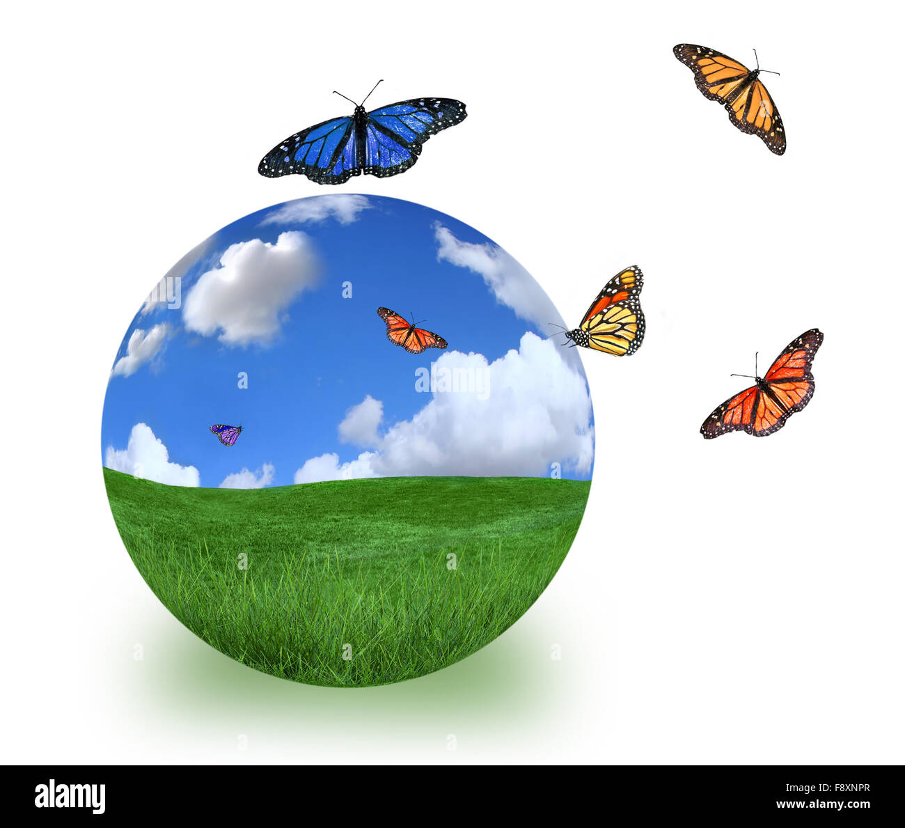 Future butterflies hi-res stock photography and images - Alamy