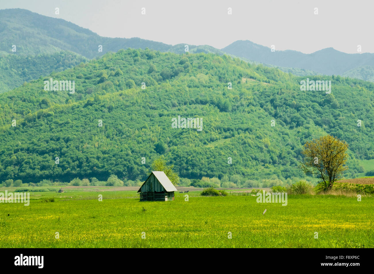 Spring grass surrounds rural hi-res stock photography and images - Alamy