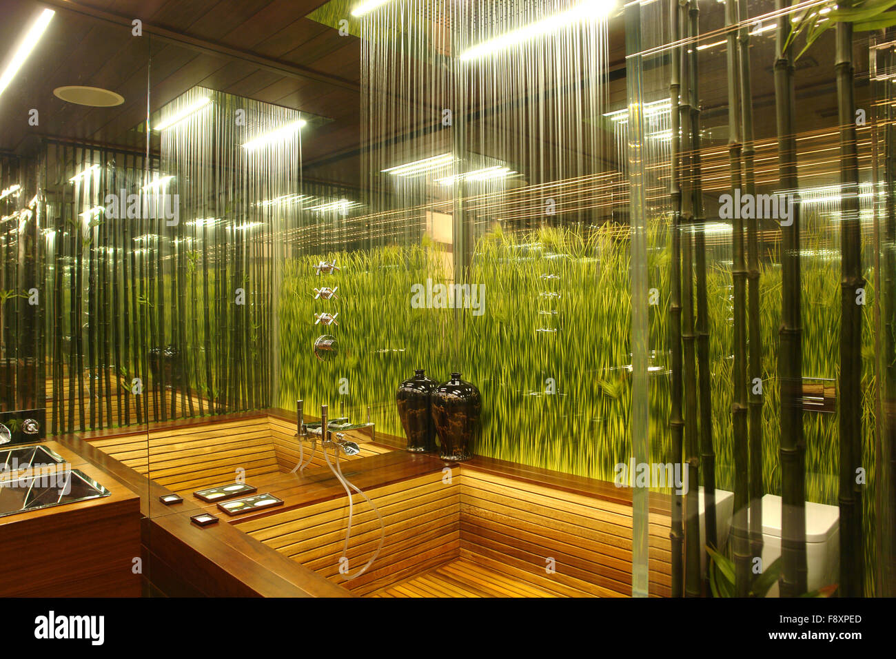 Bathroom design beautiful grass hi-res stock photography and images - Alamy