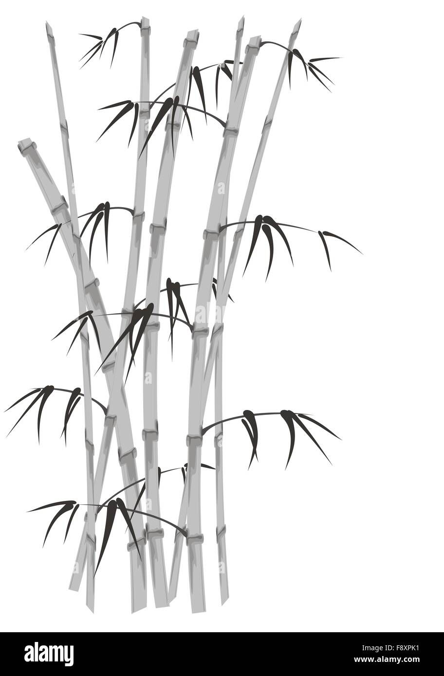Bamboo illustration Cut Out Stock Images & Pictures - Alamy