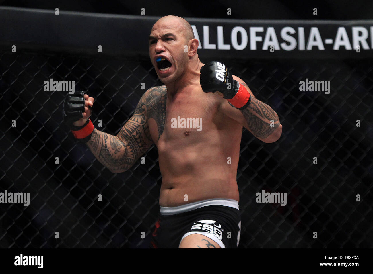 Brandon Vera Heavyweight