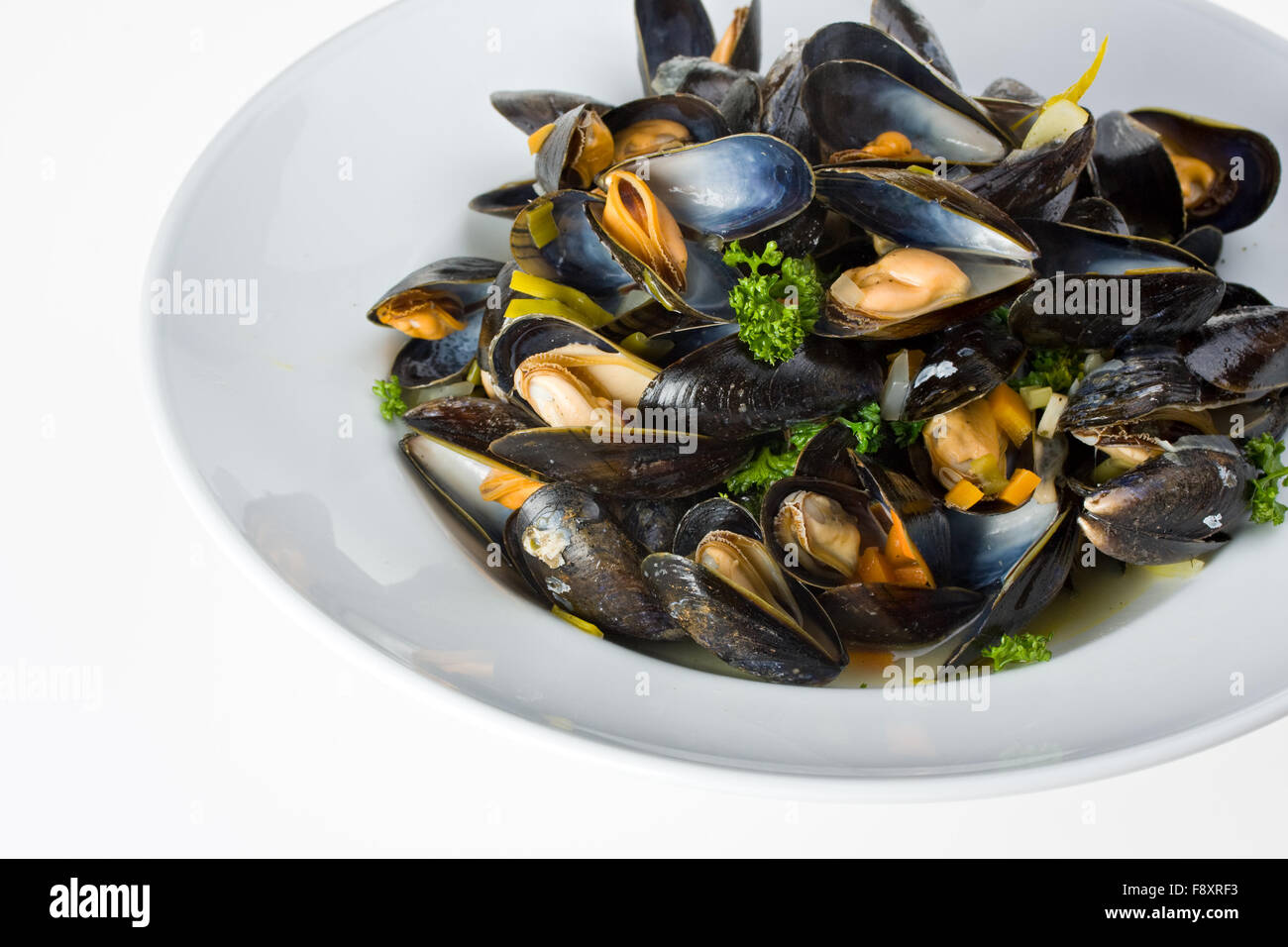 cooked open blue mussels on white background Stock Photo - Alamy