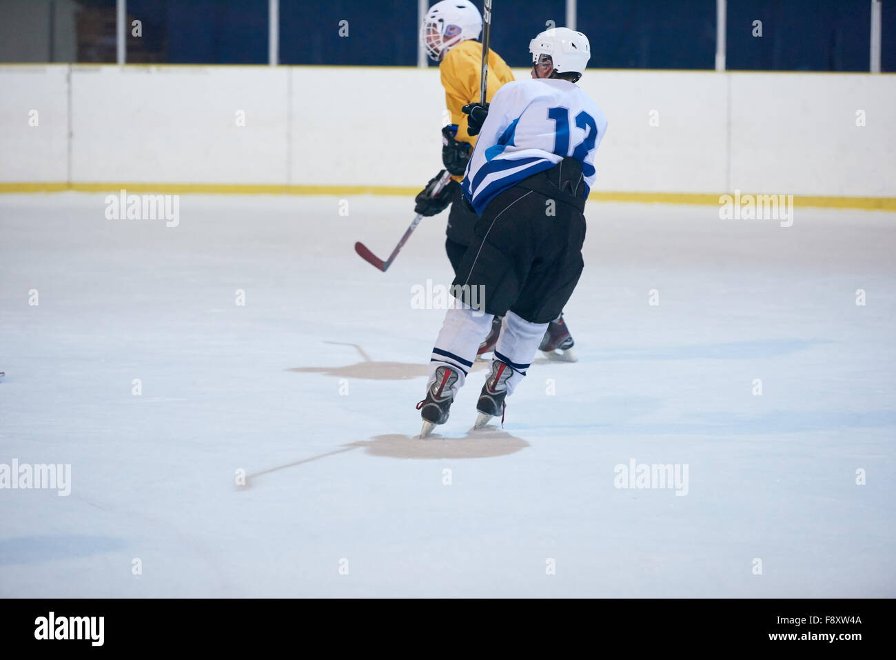 ice hockey player in action kicking with stick Stock Photo - Alamy