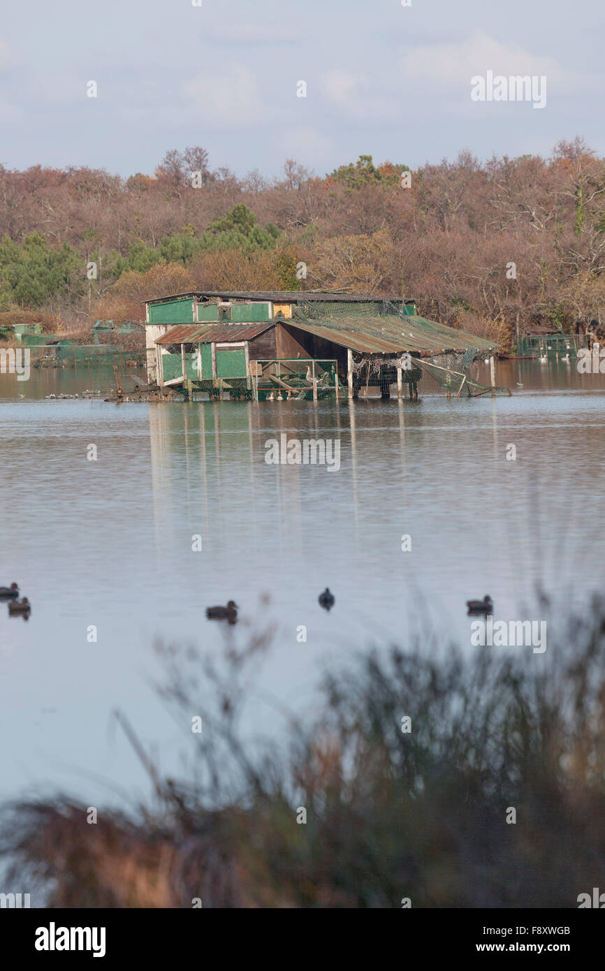 Hutte chasse hi-res stock photography and images - Alamy