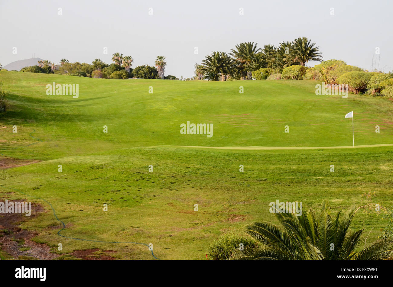 Golf Green Grass Fiel Stock Photo - Alamy