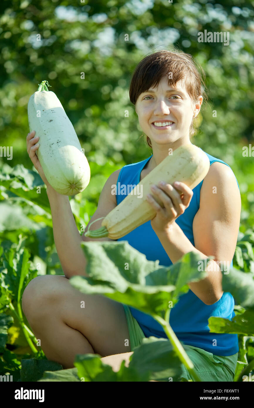 girl is picking vegetable marrow in plant Stock Photo - Alamy