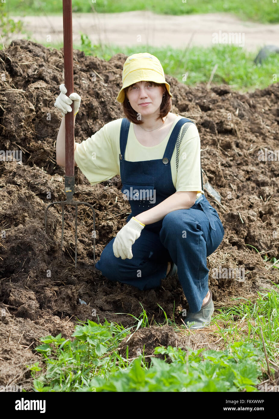 Animal manure hi-res stock photography and images - Alamy