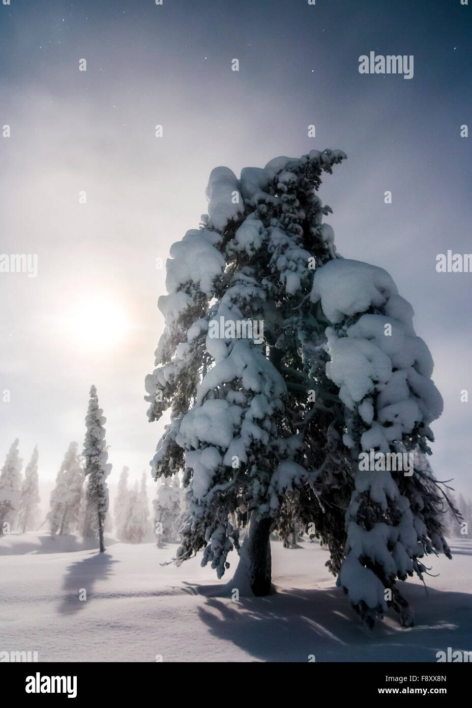Lots of snow hi-res stock photography and images - Alamy