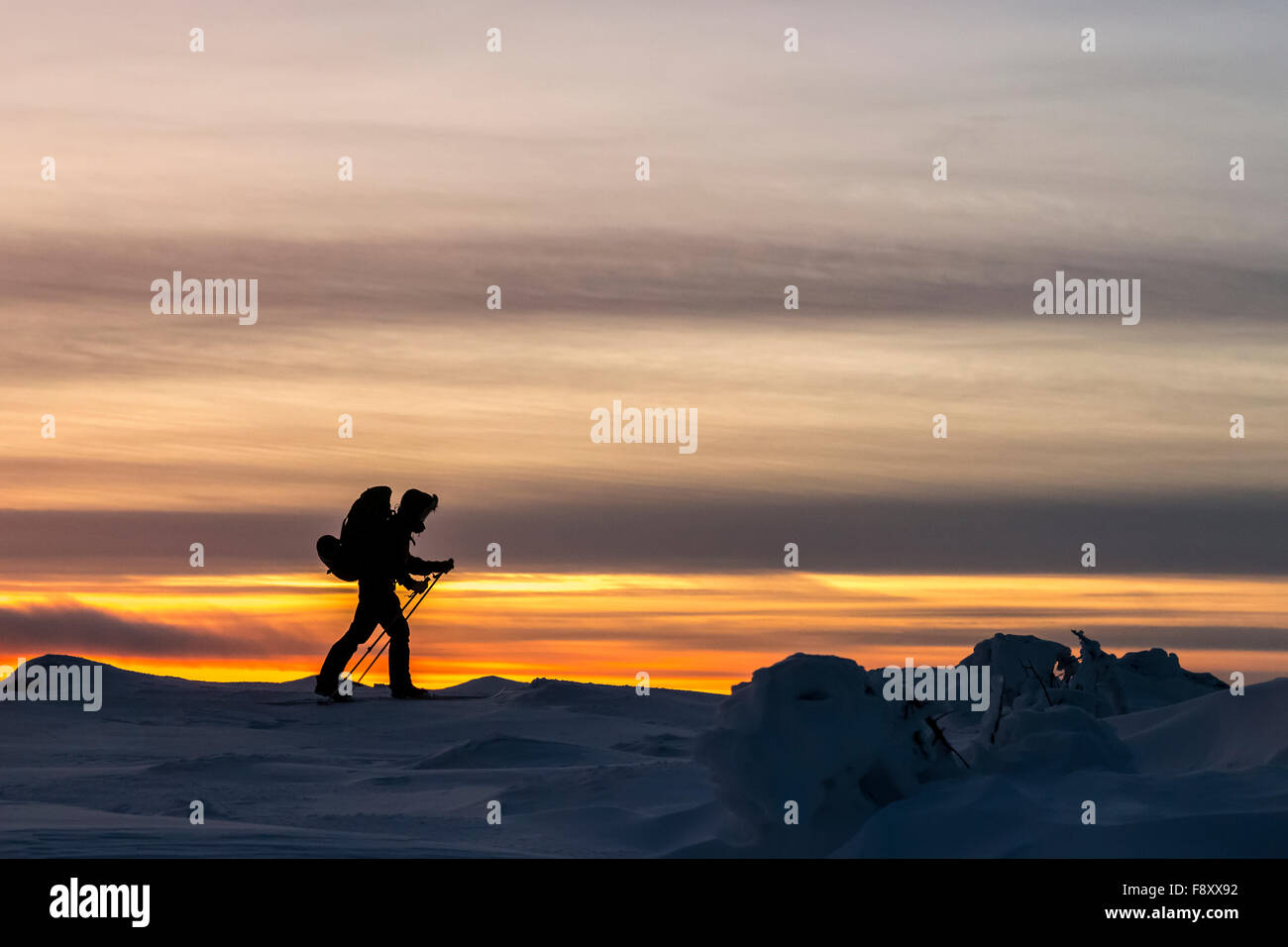 Skiing in the sunset Stock Photo - Alamy
