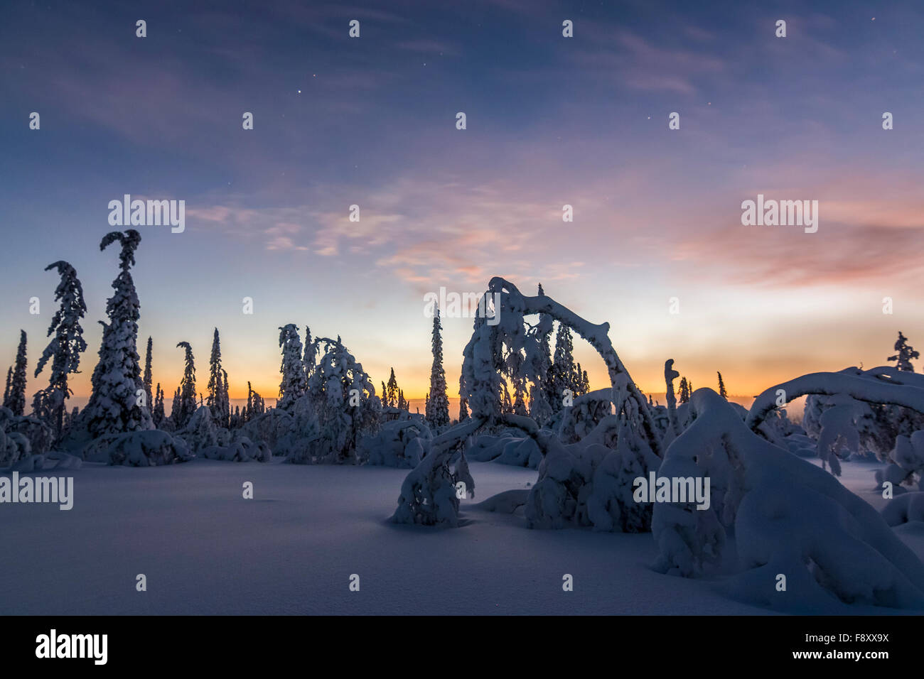 Stars coming out in Lapland Stock Photo - Alamy