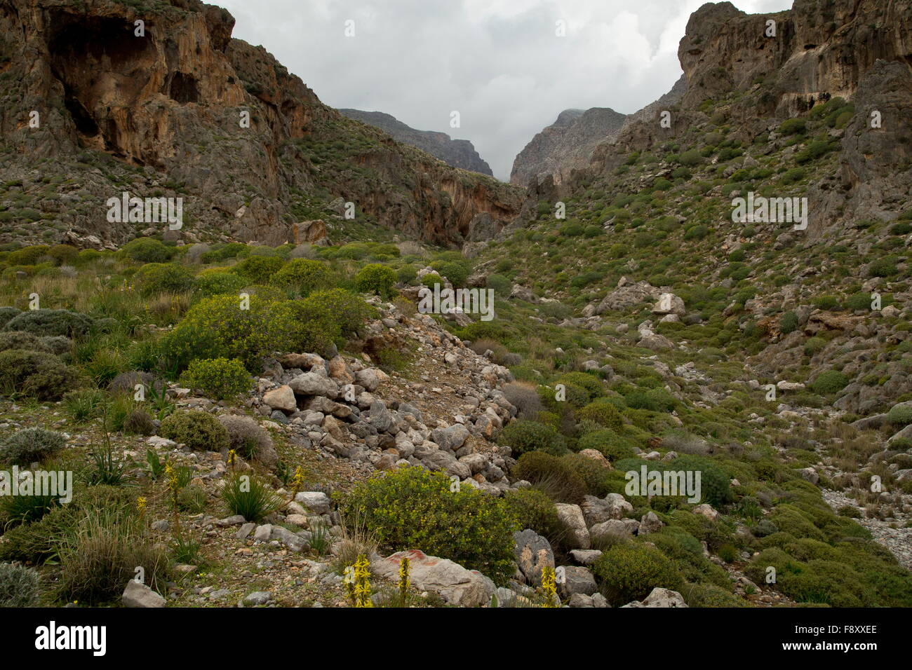Eroded limestone country above Xerocampos, in the far east of Crete ...