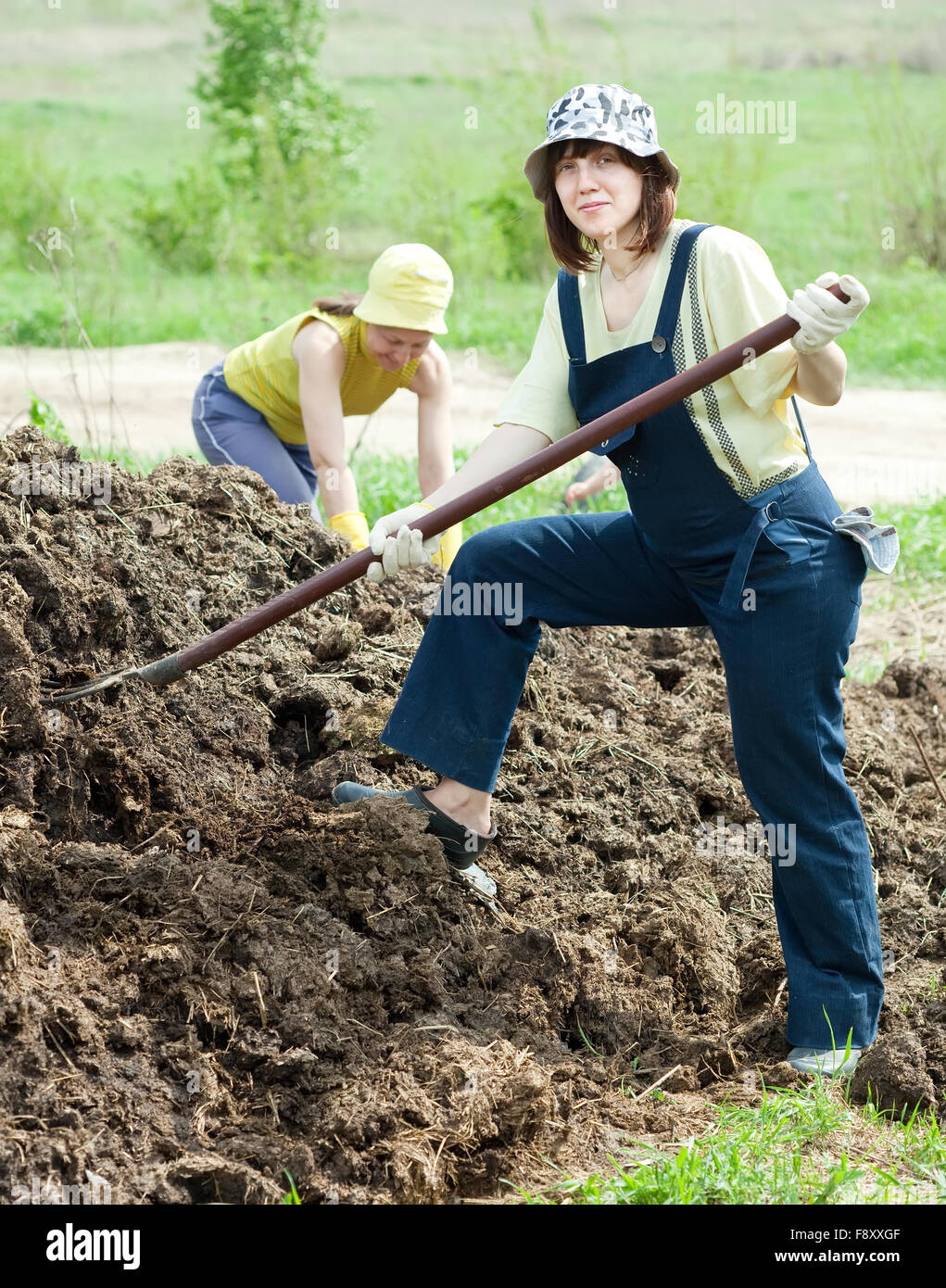 women throws the manure pitchfork in the field Stock Photo - Alamy