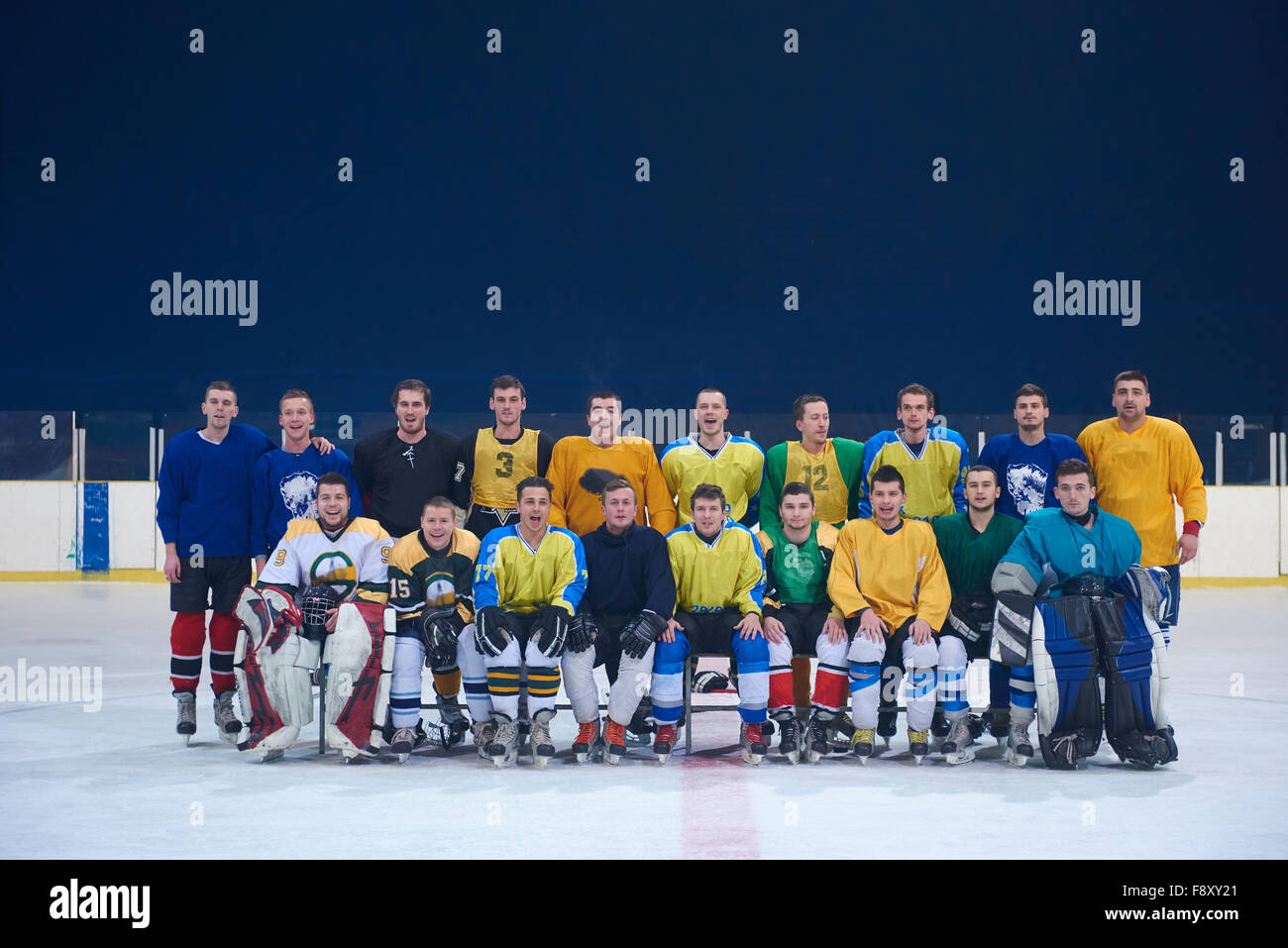 ice hockey players team group portrait in sport arena indoors Stock ...