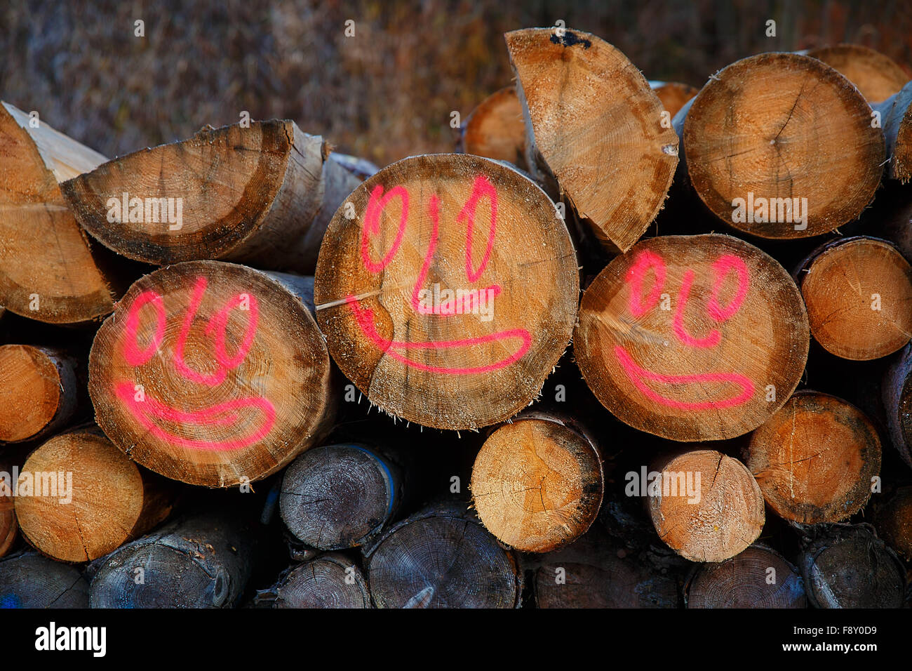 drawing of trees smiley face. happy concept, on wood background Stock ...